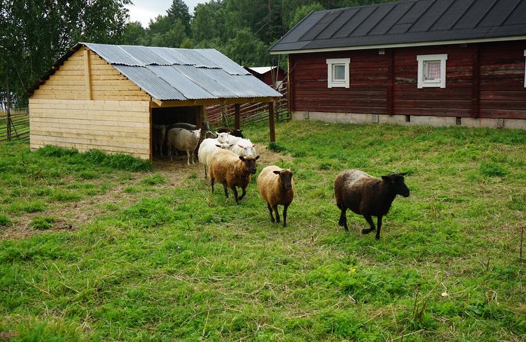 TYHY/TYKY-palvelut & opastetut aktiviteetit Joensuun seudulla ...